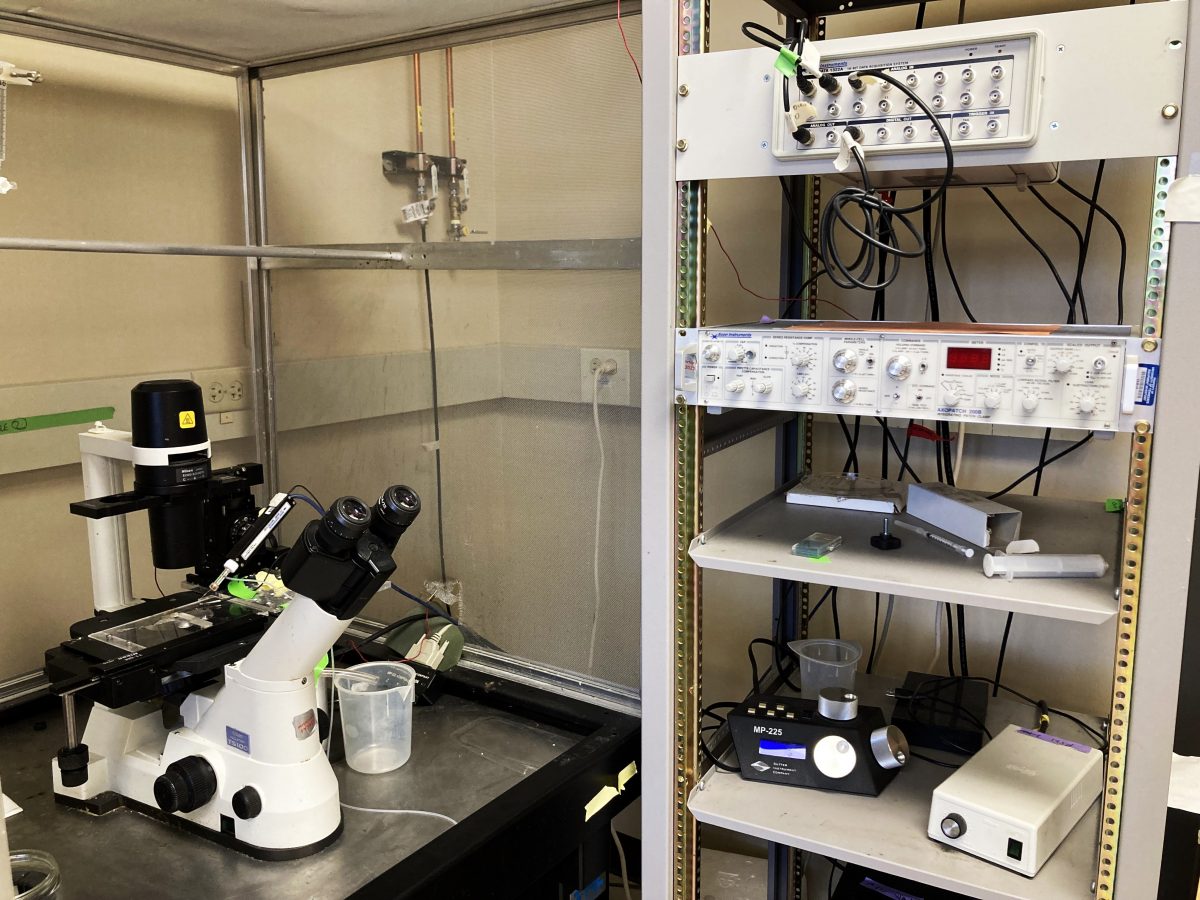 Laboratory – Jaggar Lab